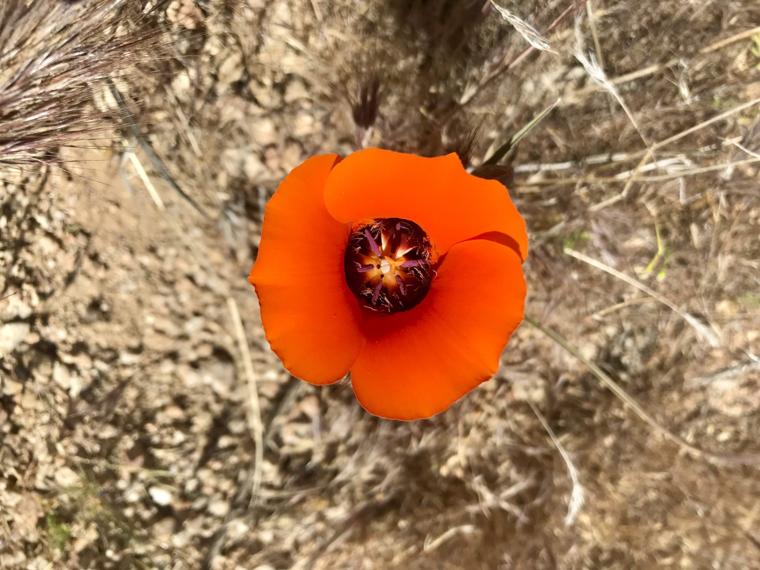 15 Practical Ways to Motivate Yourself to get Outside - Get Outdoors ...