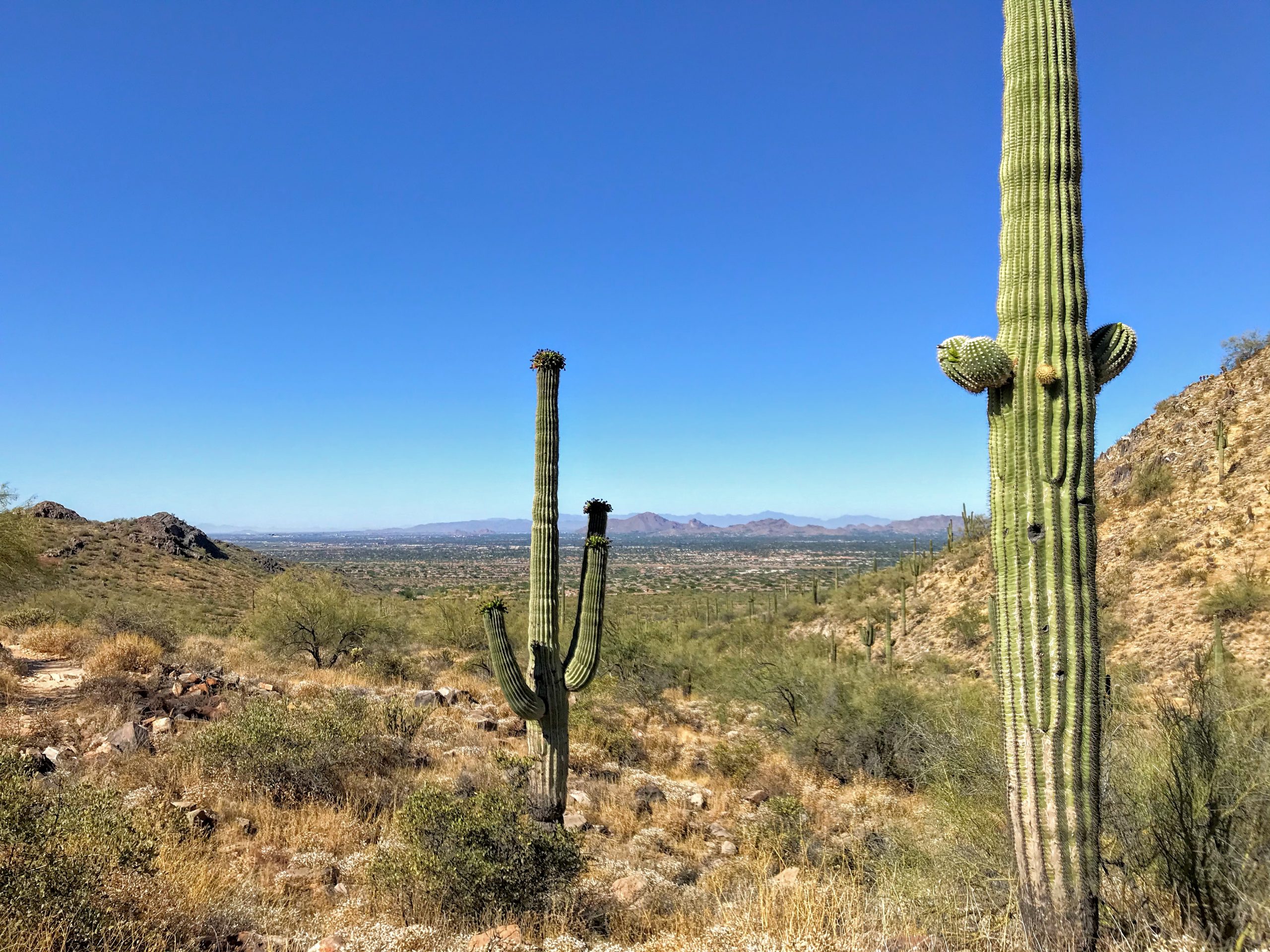 Gateway Loop Hike, McDowell Sonoran Preserve - Get Outdoors Get Happy