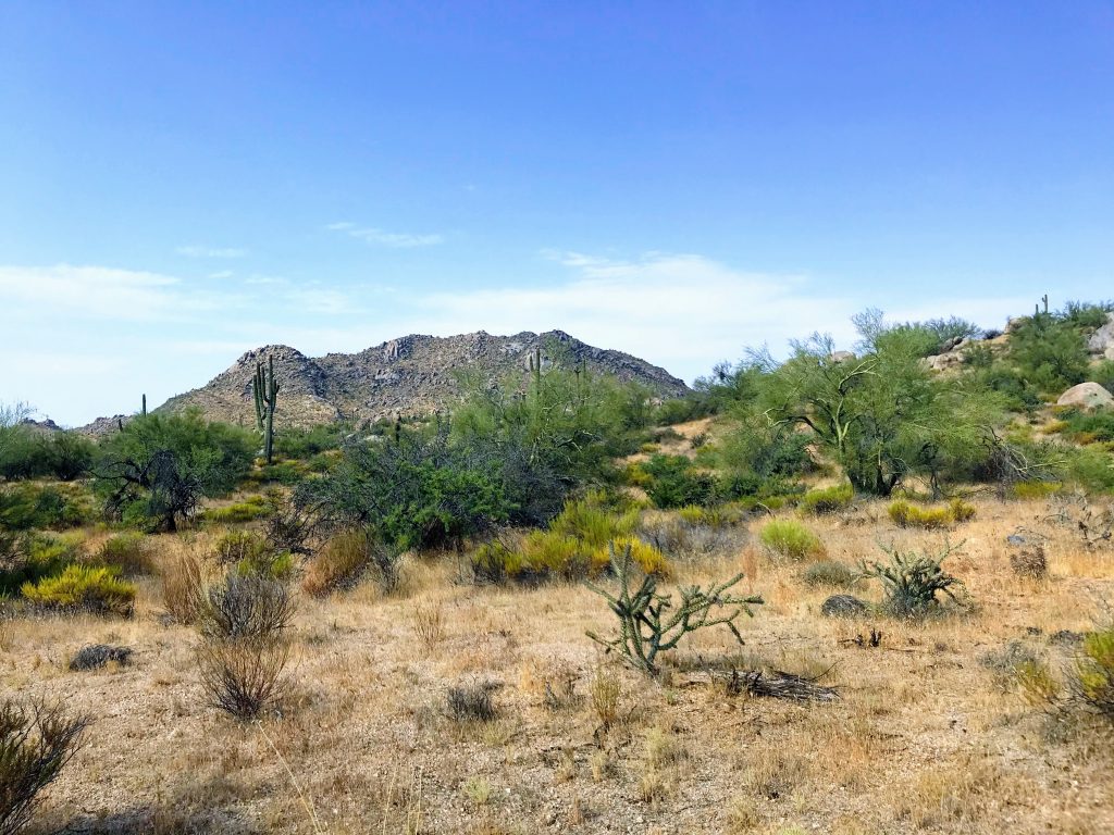 136th St Express Trail Hike, McDowell Sonoran Preserve - Get Outdoors ...