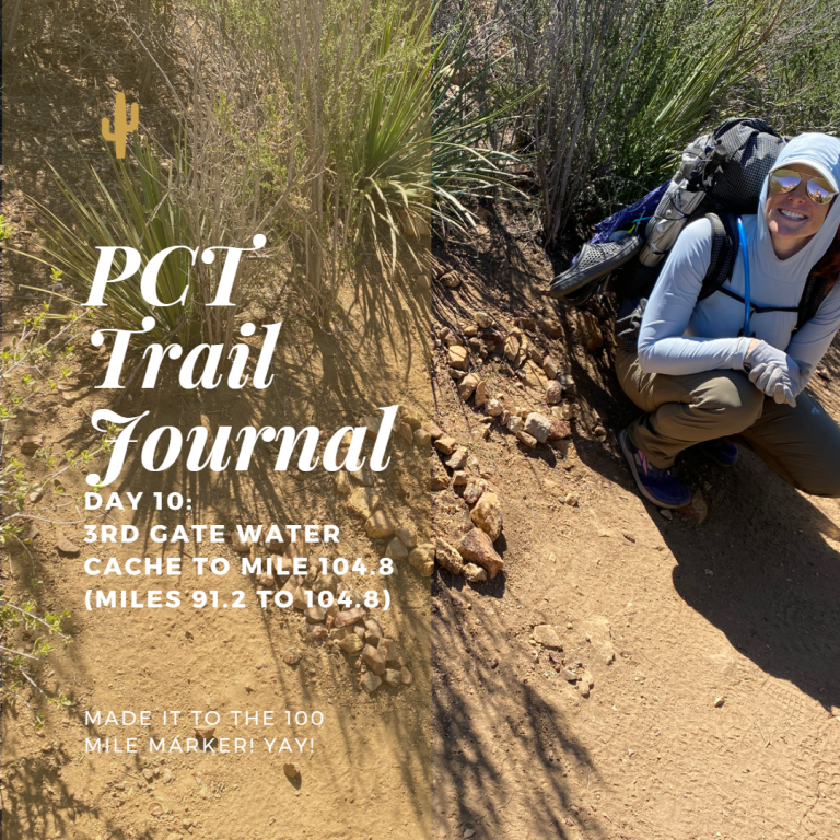 PCT Trail Journal: Day 10 3rd Gate Water Cache to Mile 104.8 (Miles 91. ...