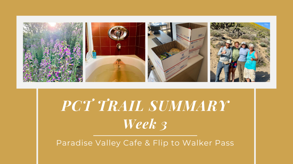 PCT Trail Summary Week 3: 131.6 to Paradise Valley Cafe & Flip to Walker Pass